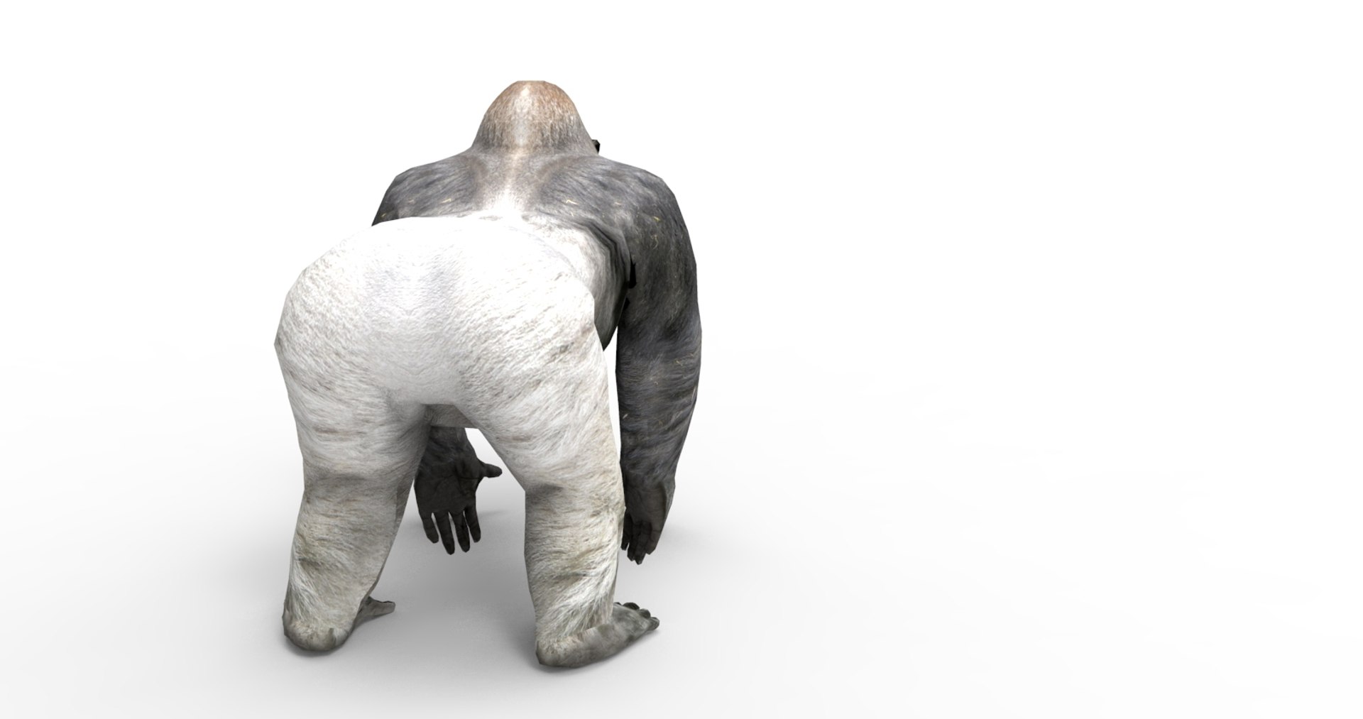 3d Model Gorilla Rigged Animation Turbosquid 1236758