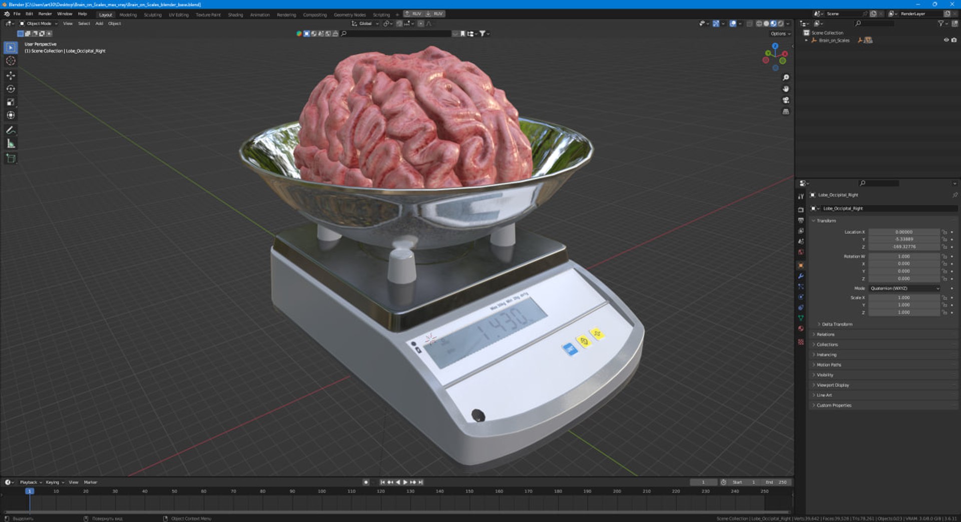 3D Brain On Scales - TurboSquid 2384841