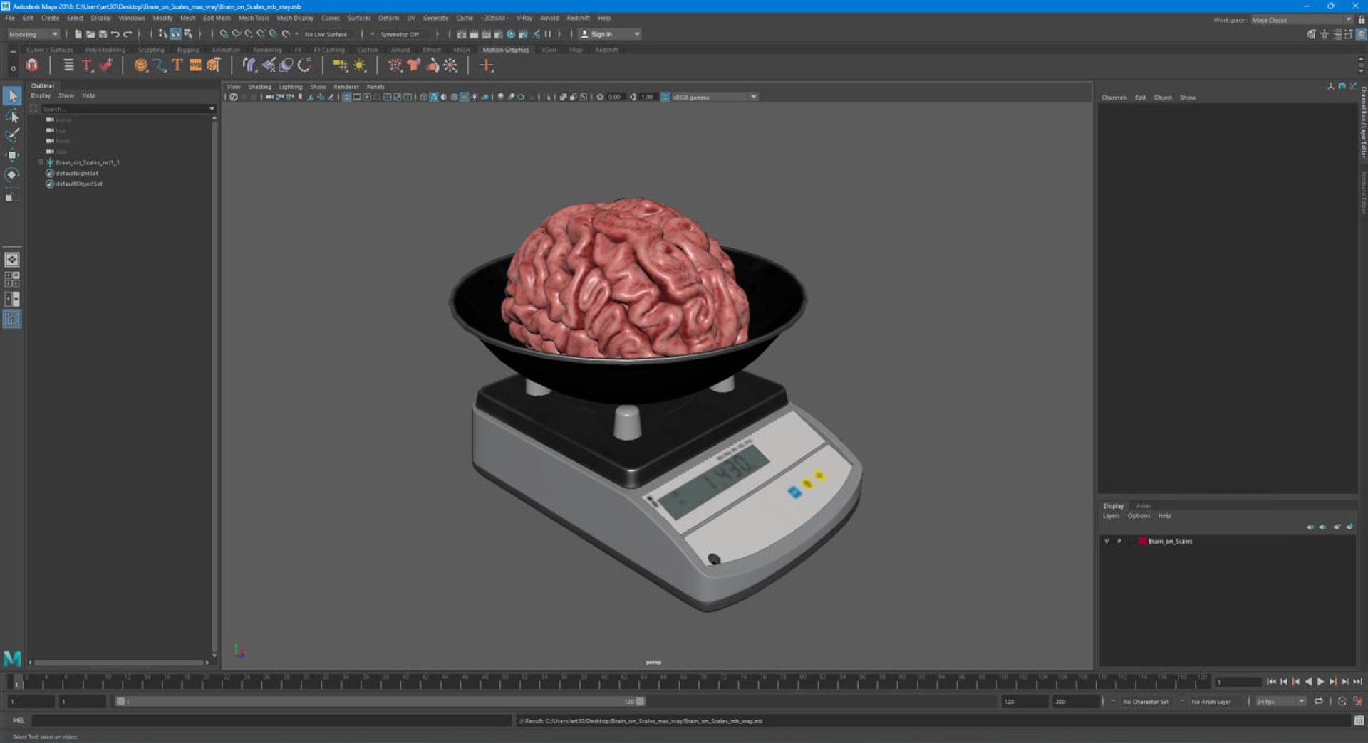 3D Brain On Scales - TurboSquid 2384841