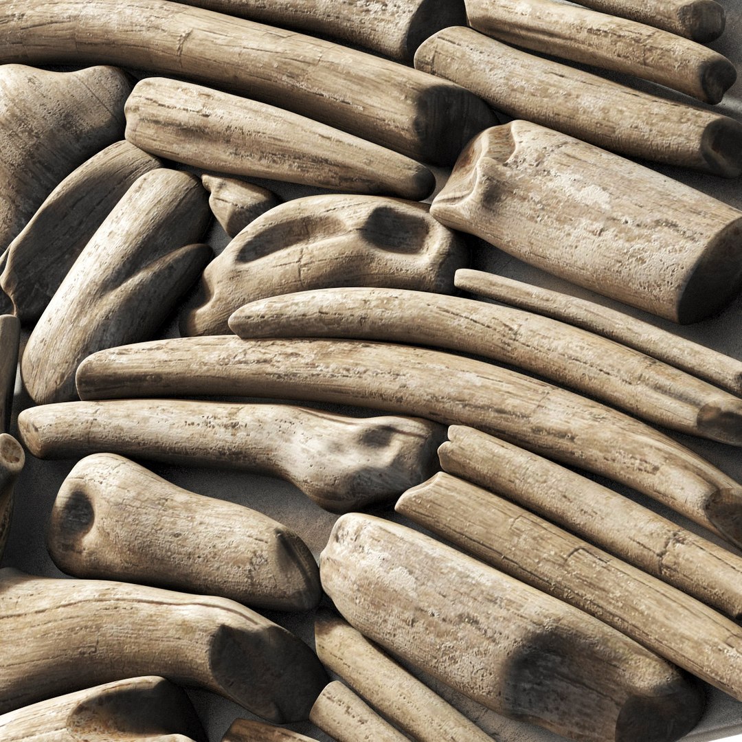 3D Rectangle Panel Branch Splinter N1 - TurboSquid 1720559