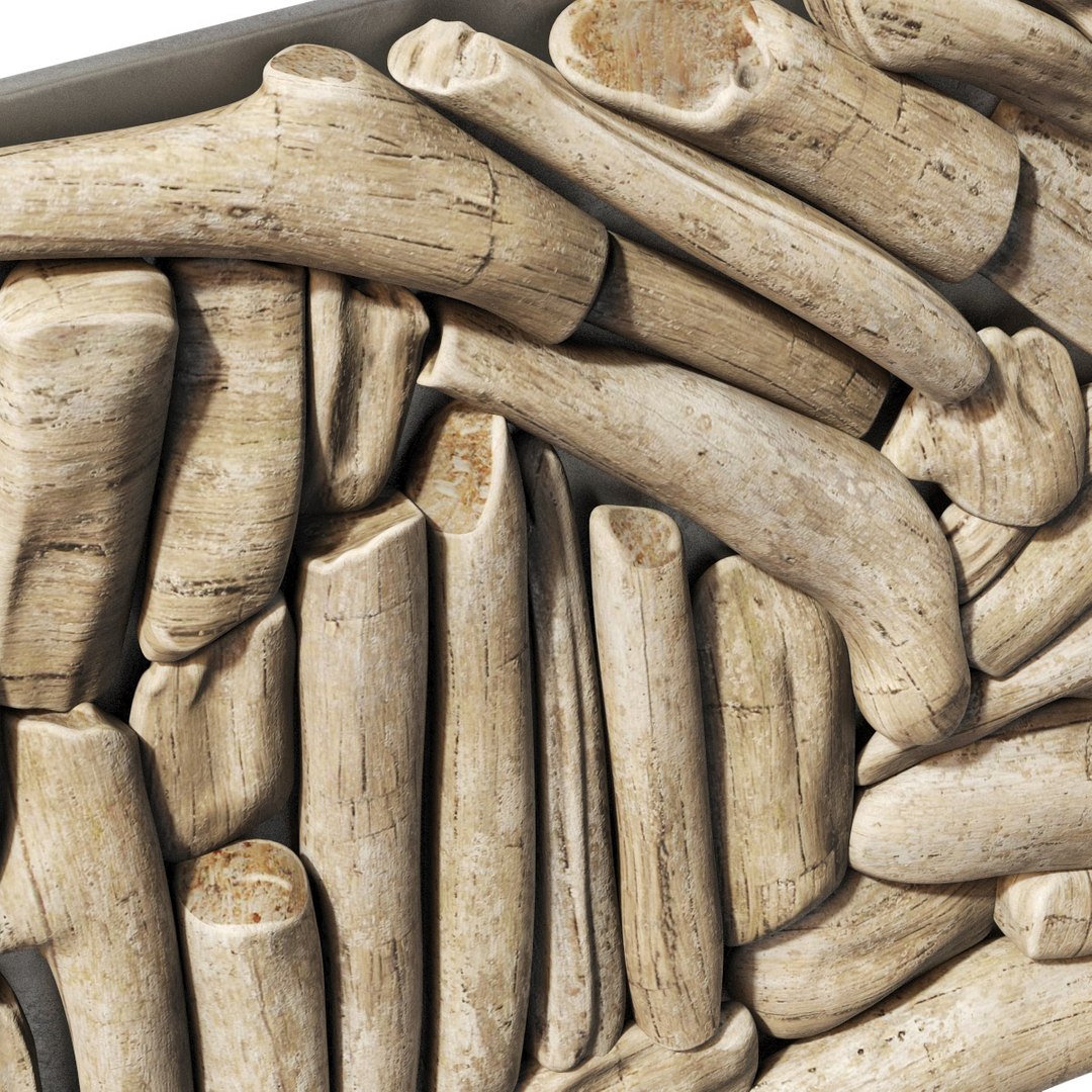 3D Rectangle Panel Branch Splinter N1 - TurboSquid 1720559