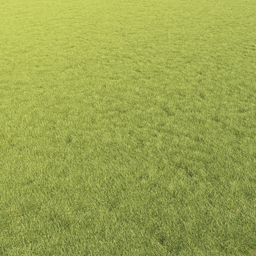 Lawn Grass 01 3D Model - TurboSquid 1781839