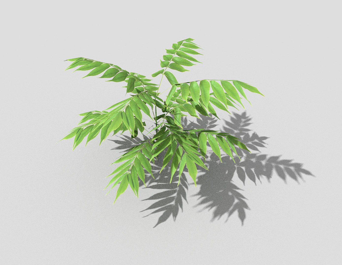 Plant 3d Obj
