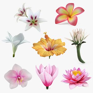 Download 3D Flowering Plants Maya Models - TurboSquid