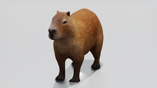 modelo 3d Capybara - TurboSquid 2043844