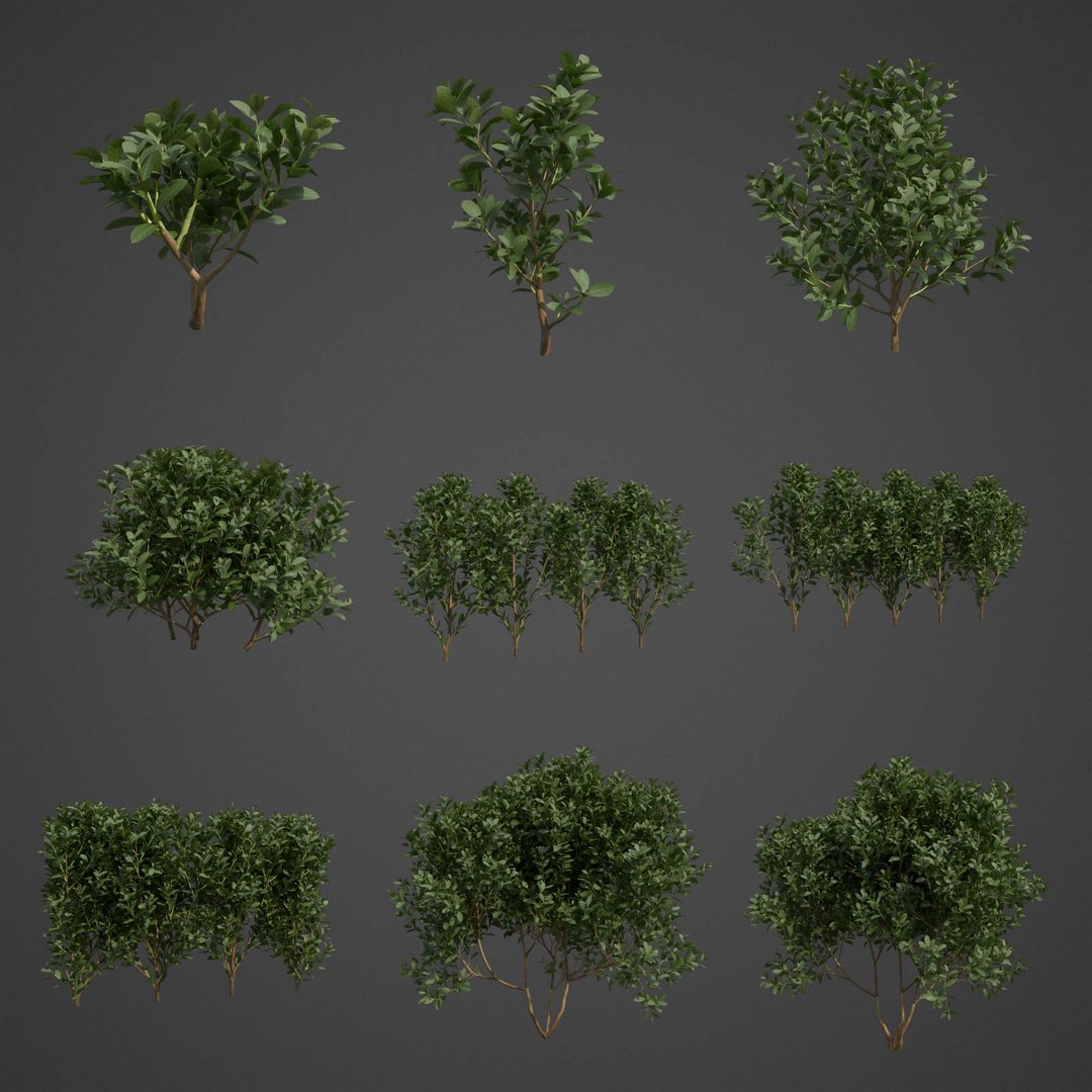 3D tree nature model - TurboSquid 1677323