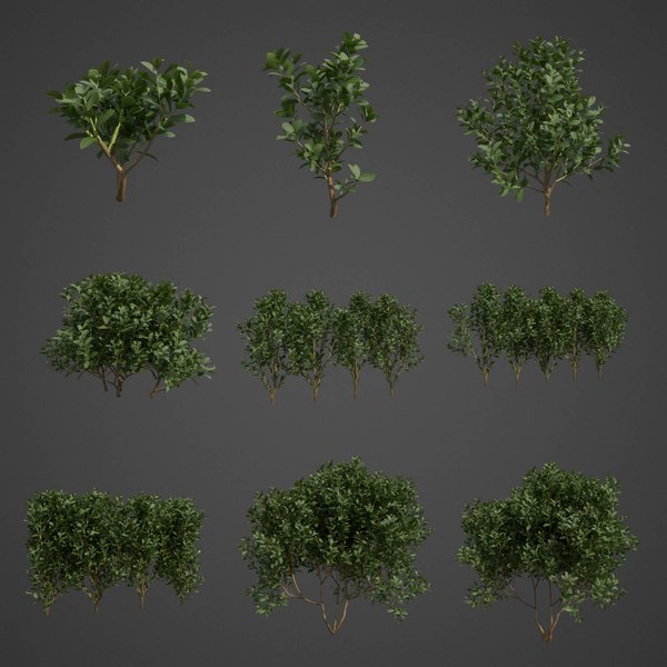 3D tree nature model - TurboSquid 1677323