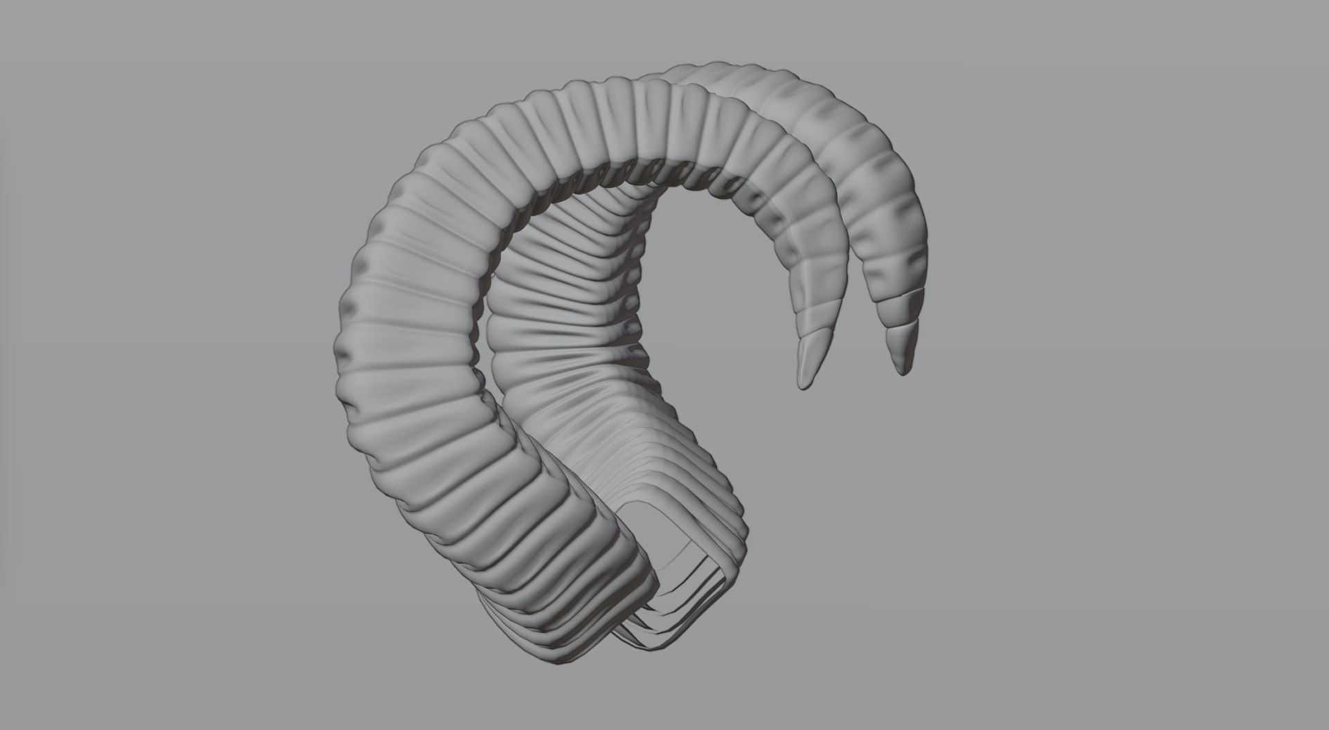3D Horns Model - TurboSquid 1819124