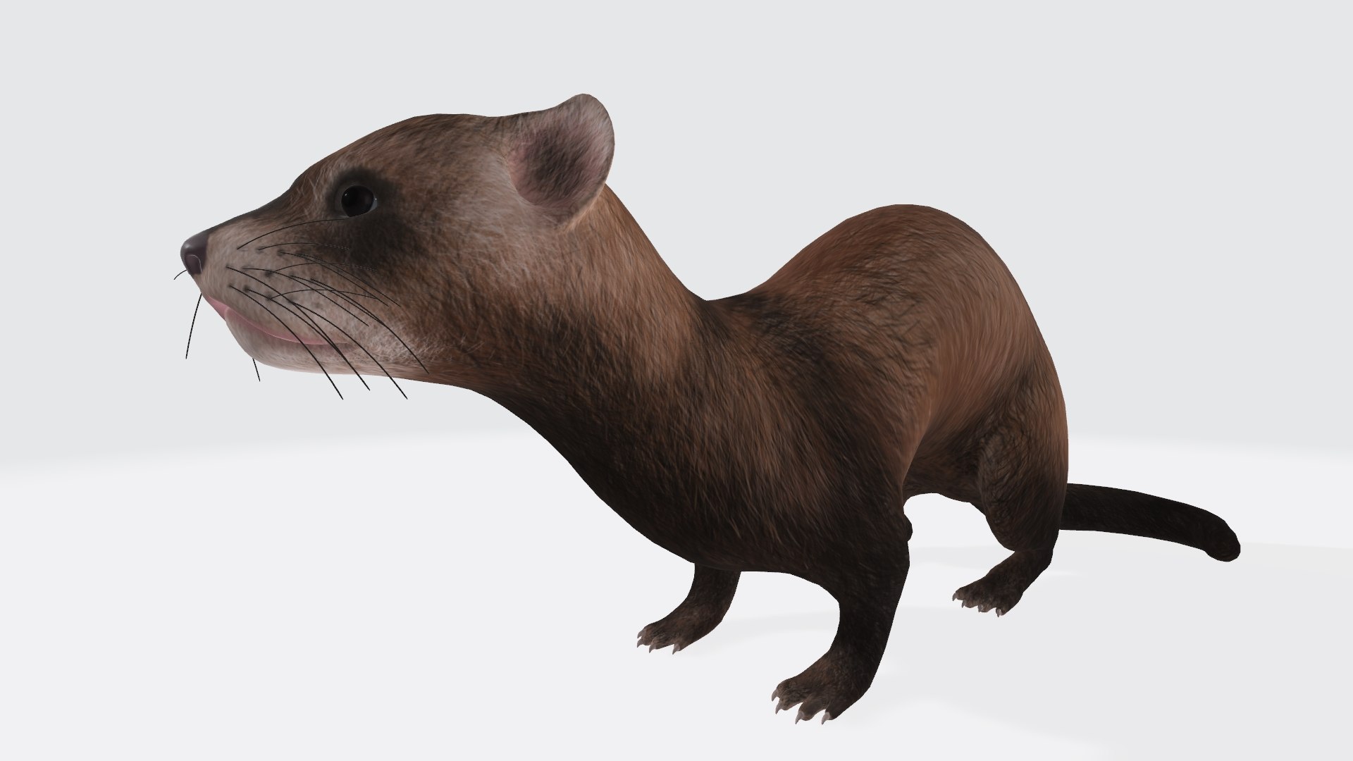 3D Ferret Animal Figure 3D Model Ready To Print Model - TurboSquid 2299305