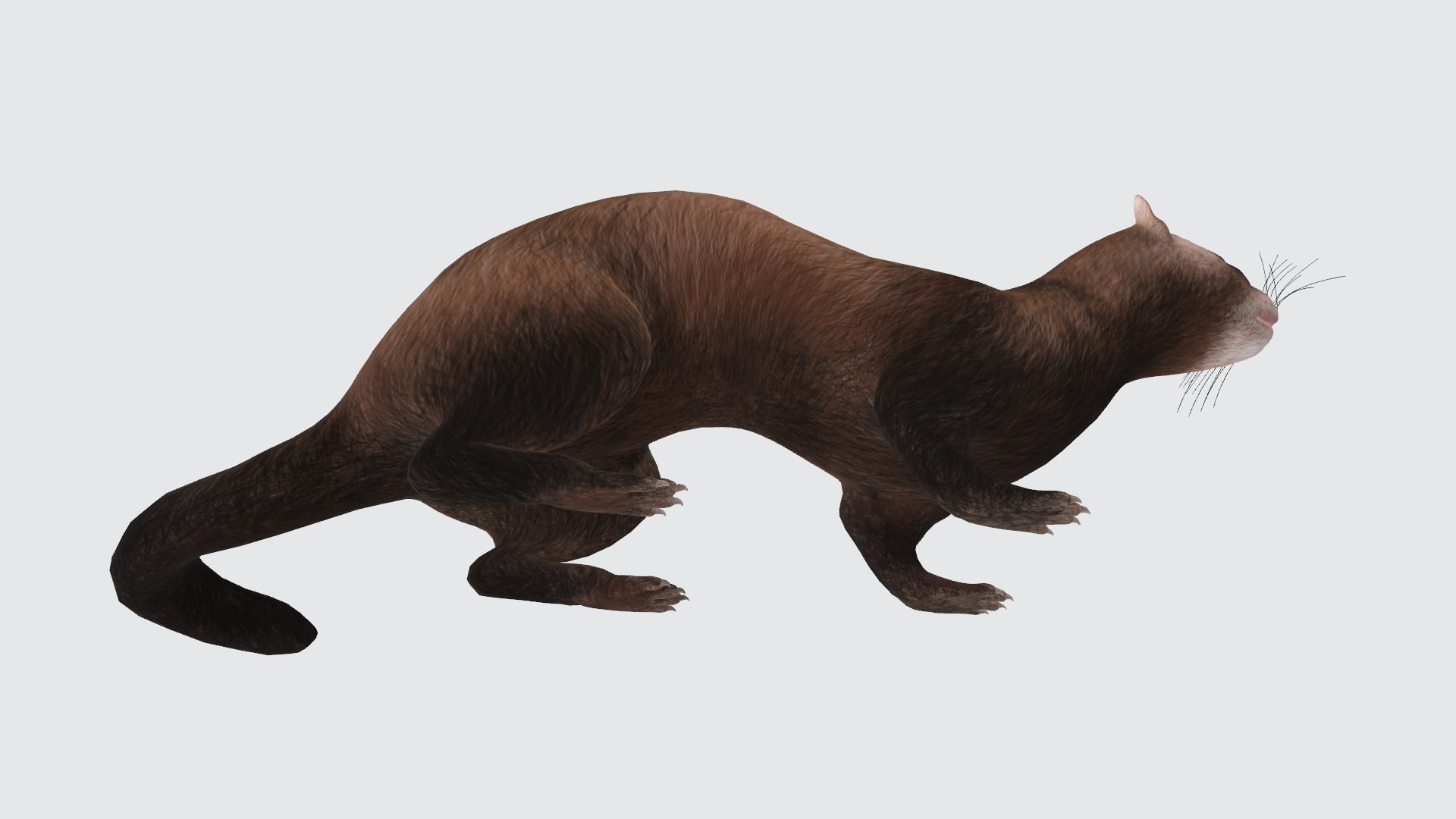 3D Ferret Animal Figure 3D Model Ready To Print Model - TurboSquid 2299305