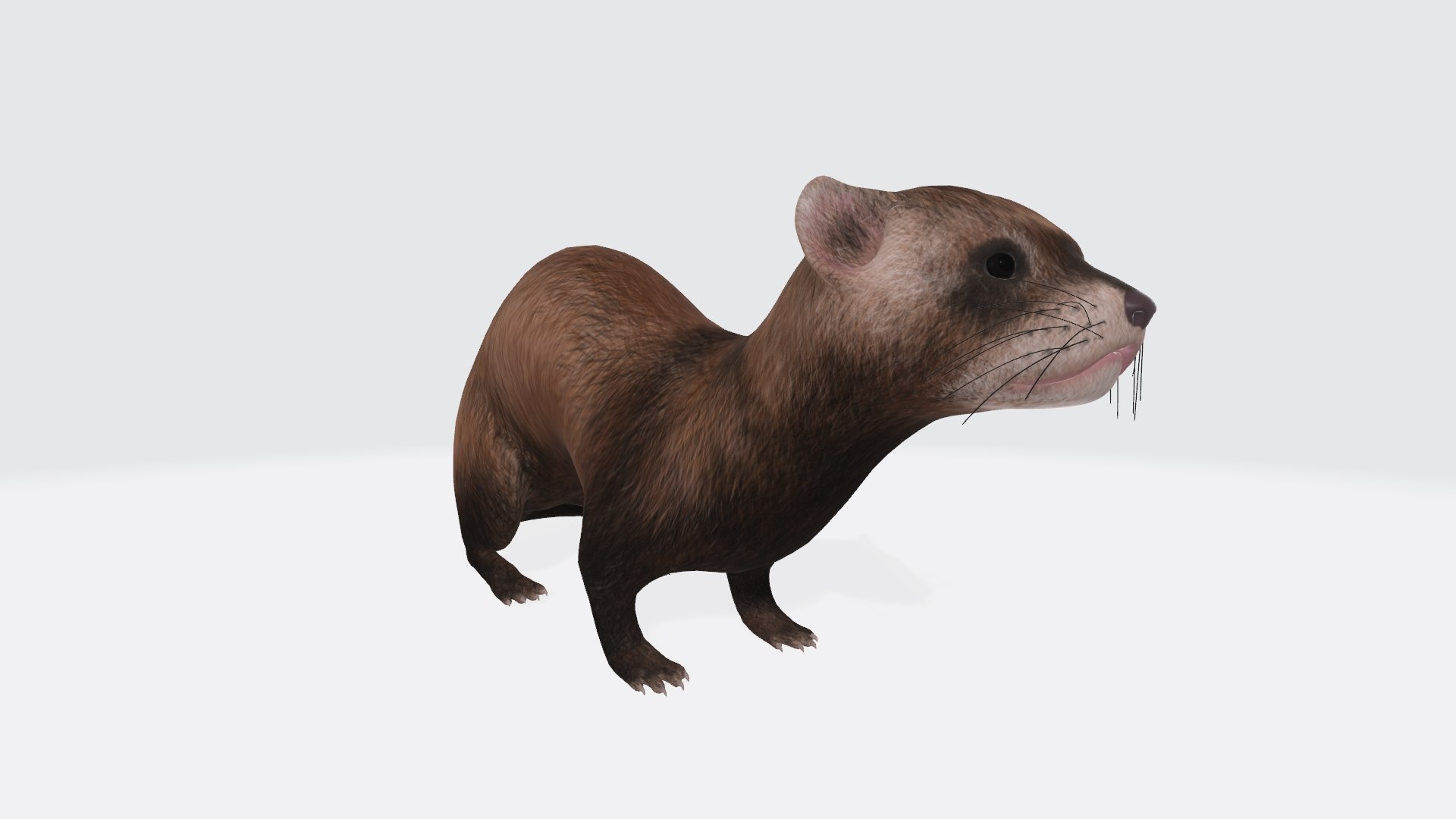 3D Ferret Animal Figure 3D Model Ready To Print Model - TurboSquid 2299305