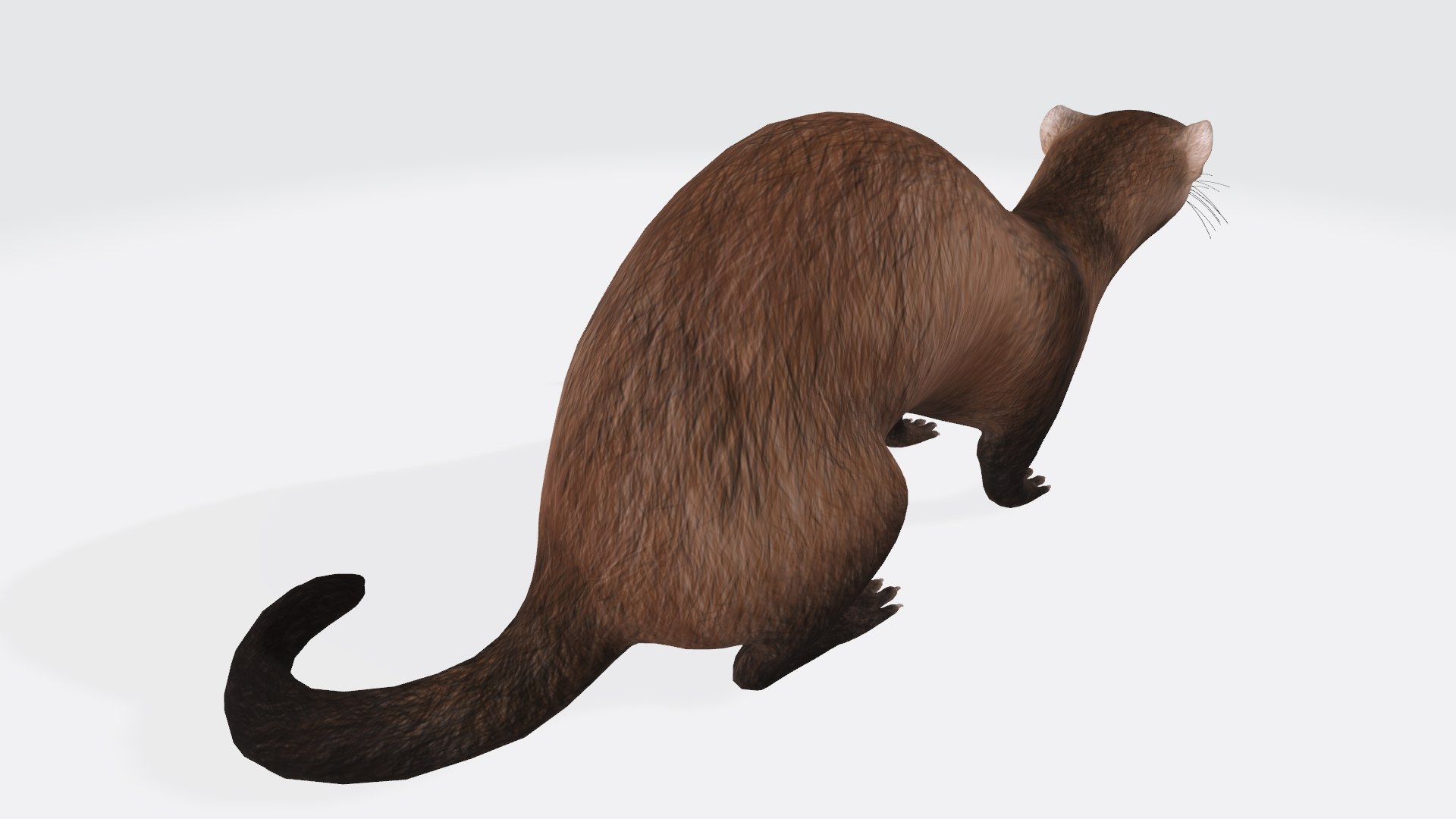 3D Ferret Animal Figure 3D Model Ready To Print Model - TurboSquid 2299305