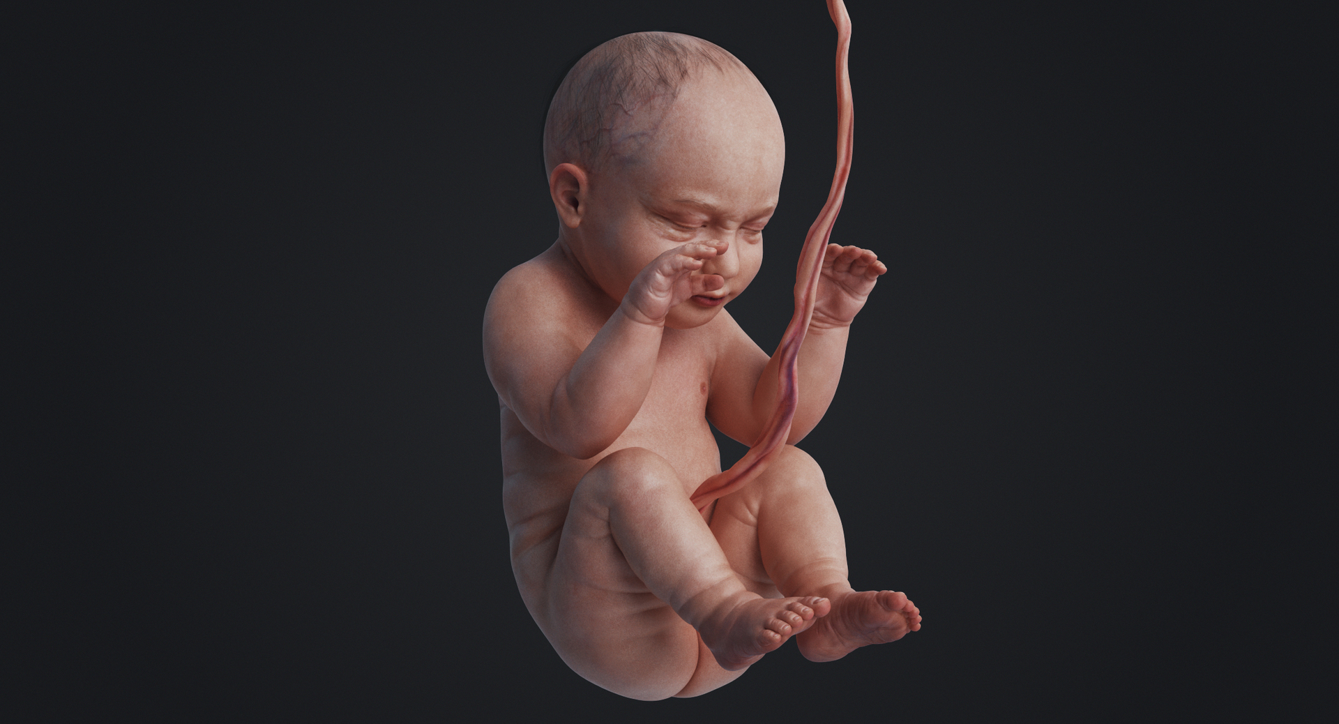 Animation Body 3D Model - TurboSquid 1591684