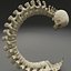 3D letter c bones skeleton model - TurboSquid 1543301