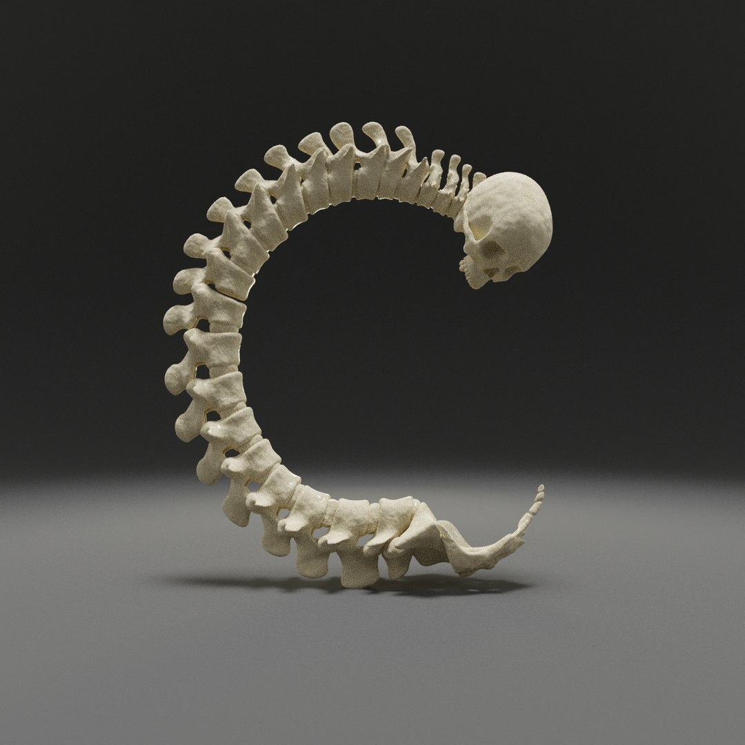 3D letter c bones skeleton model - TurboSquid 1543301