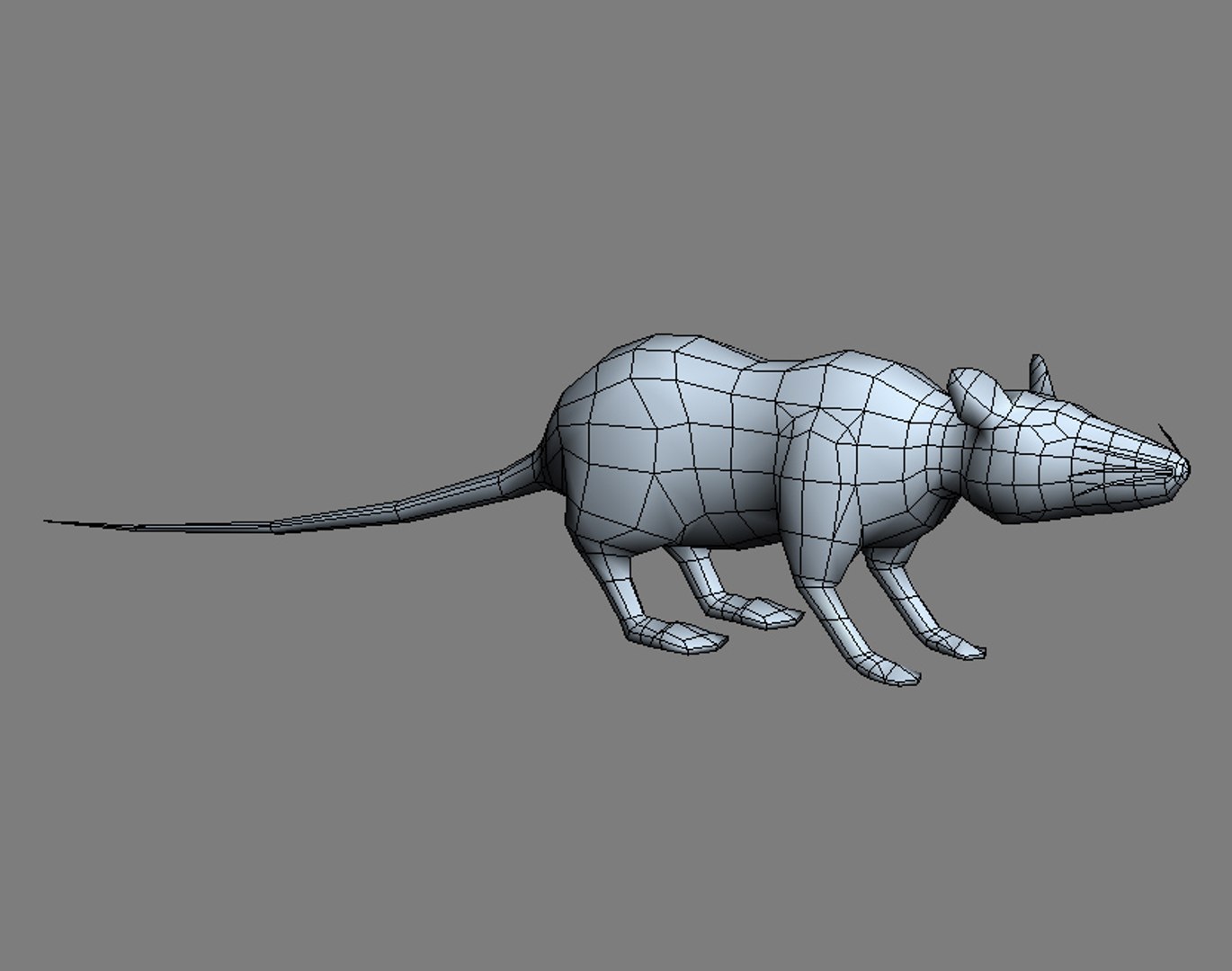 3d Rat