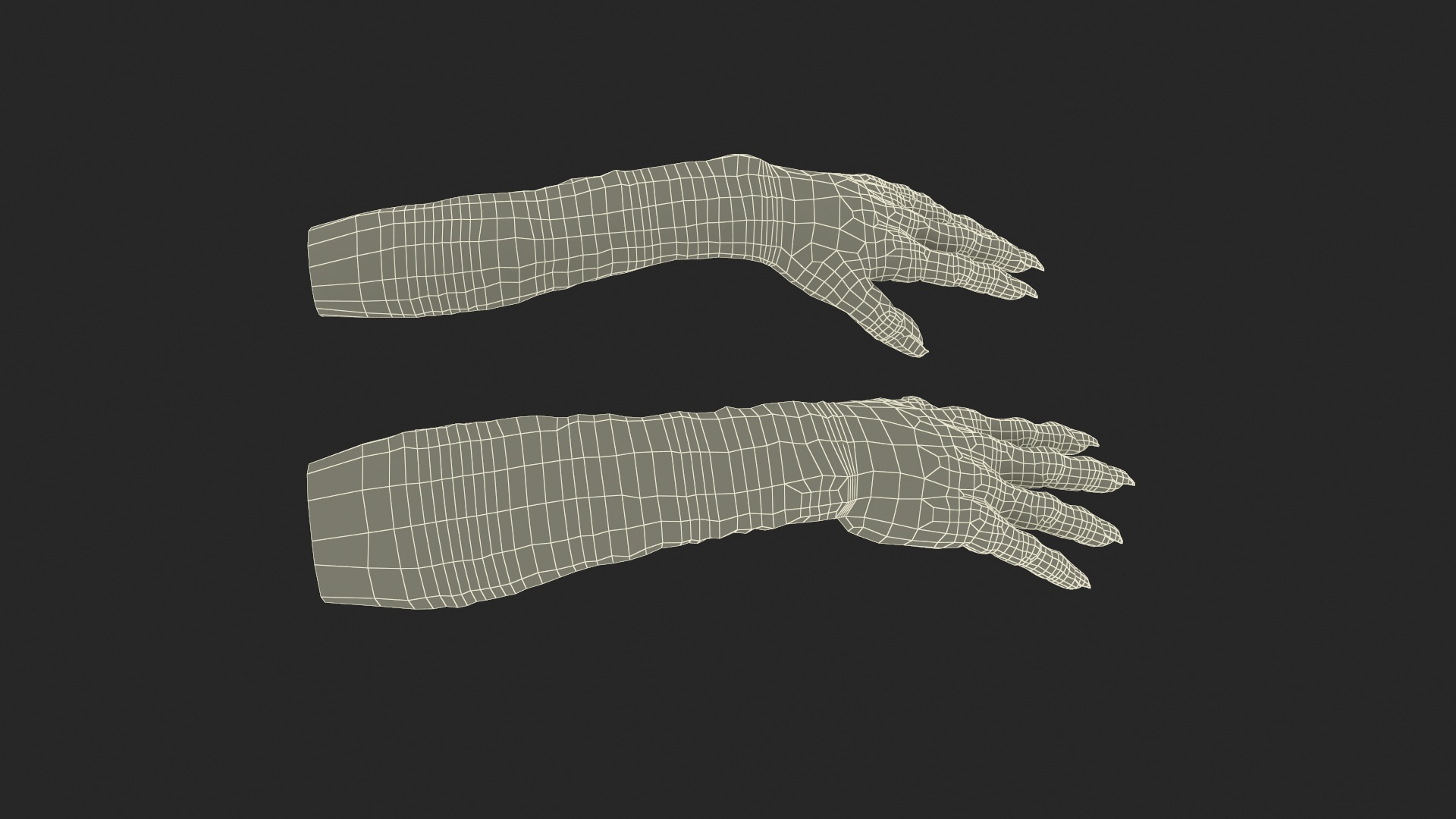 Witch Hands Rigged 3D - TurboSquid 2325768
