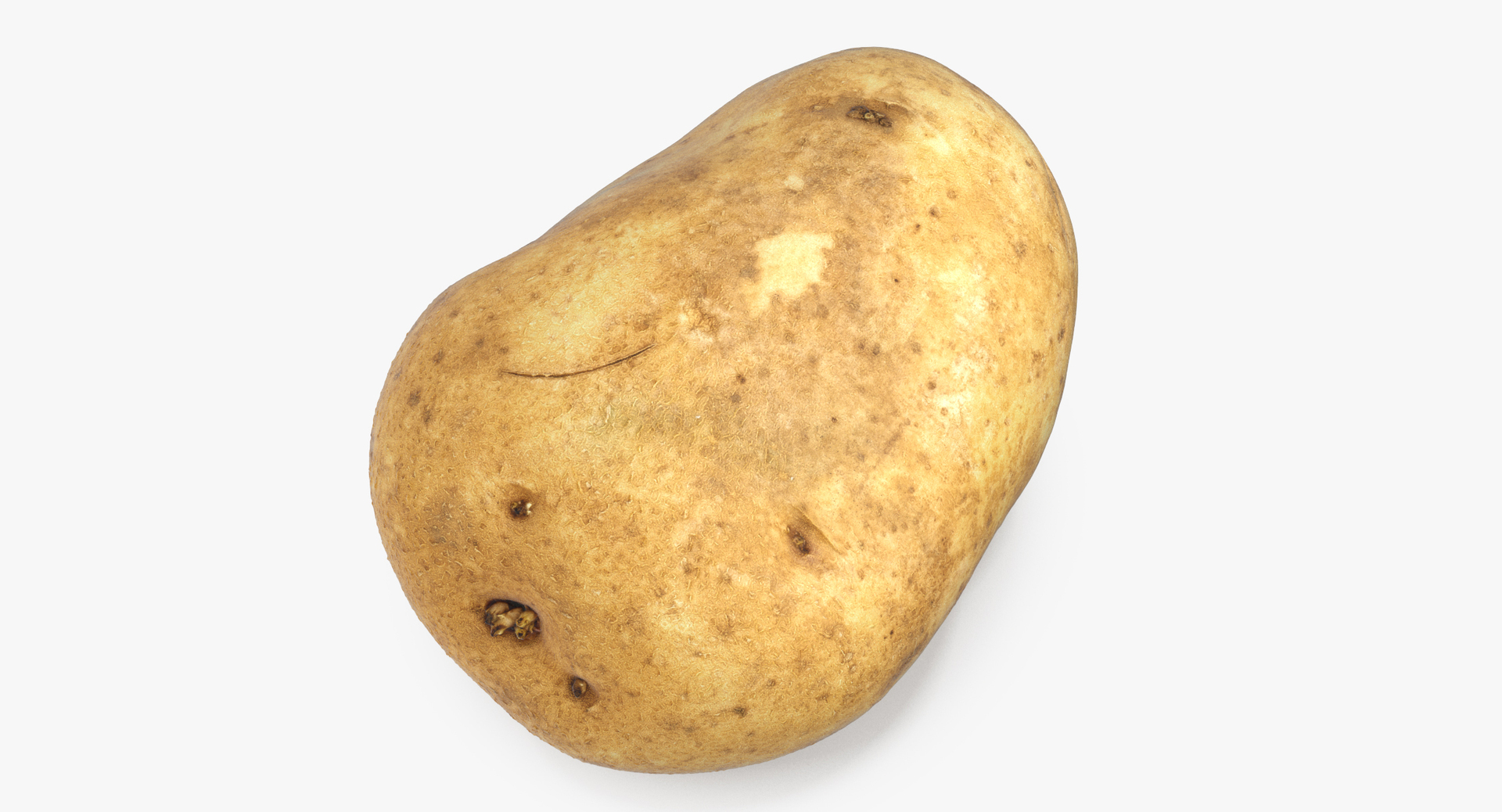 3D Potato 03 Model - TurboSquid 1402940