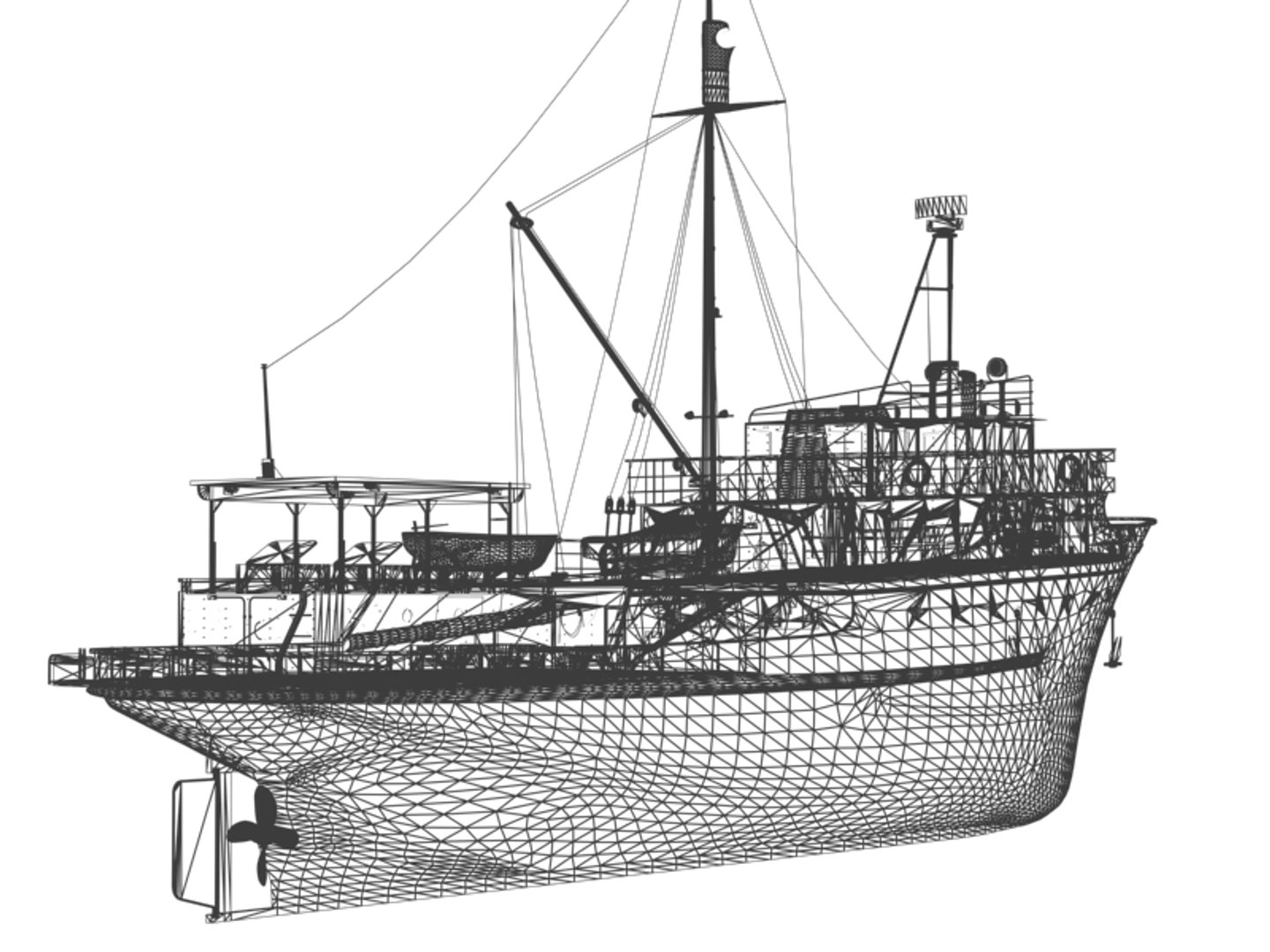 Ship Fish Model - TurboSquid 1607377
