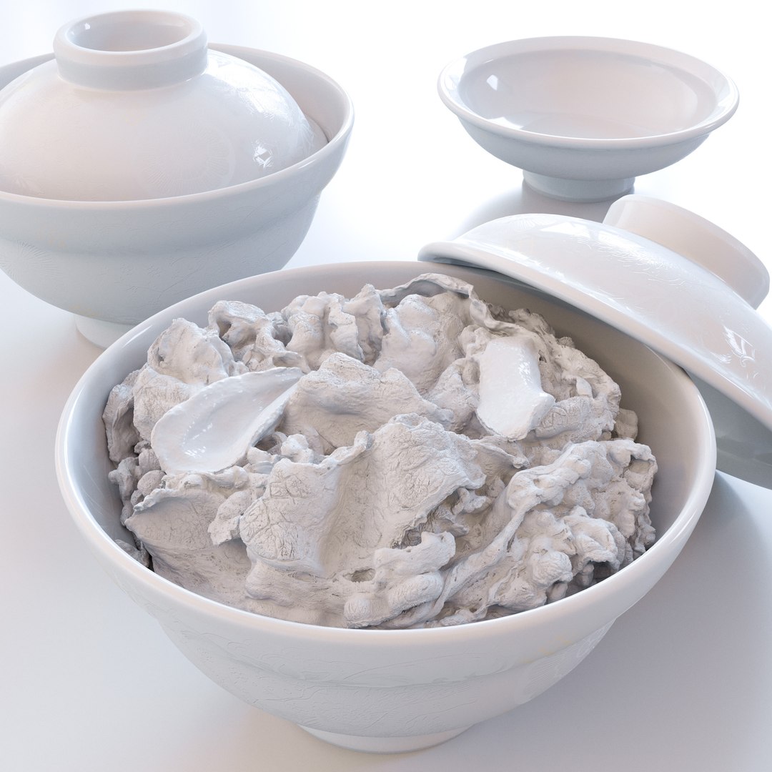 3D Gyudon And Donburi Bowl With Lid - Japanese Beef Rice Bowl ...