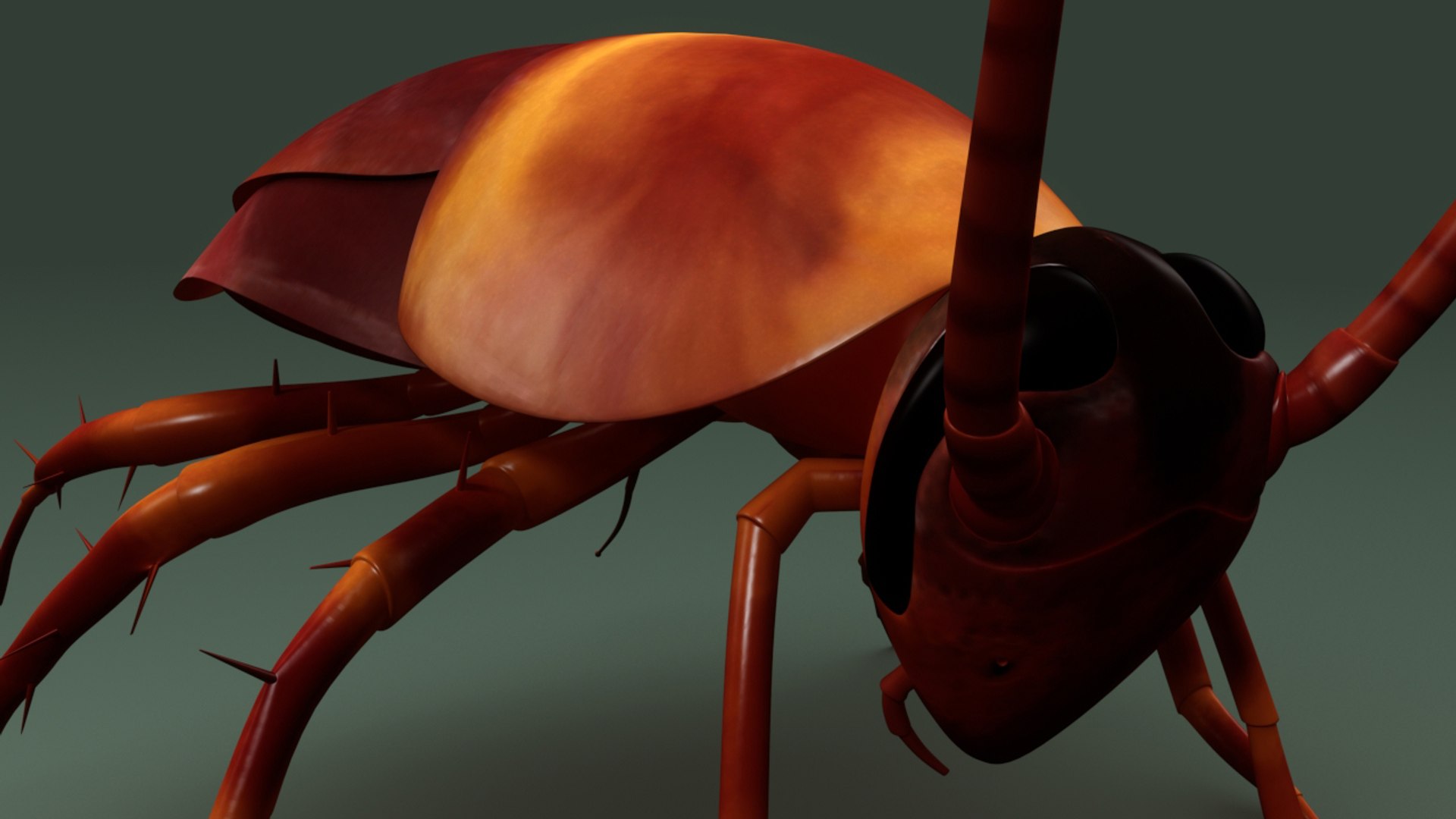 3d Model Of Cockroaches Insects Pests