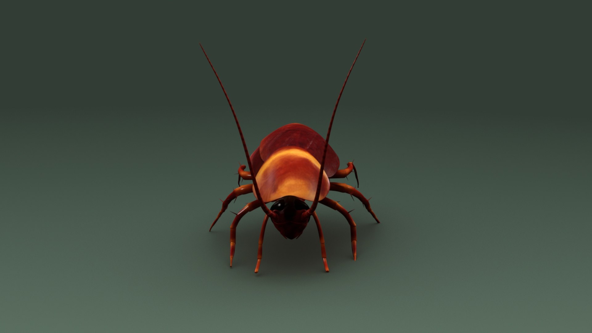 3d Model Of Cockroaches Insects Pests