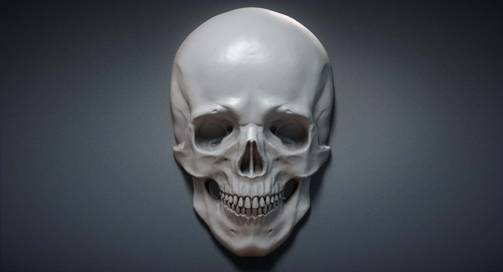 human skull relief 3d model