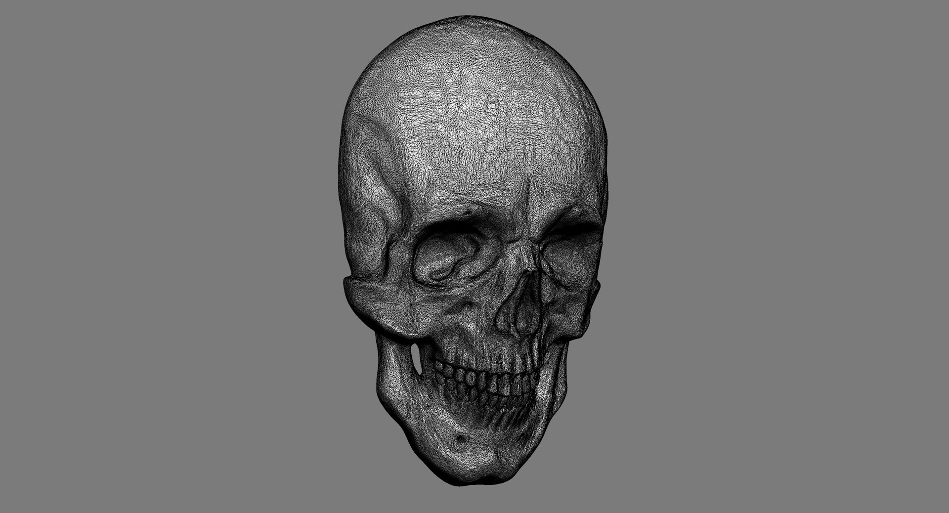 human skull relief 3d model