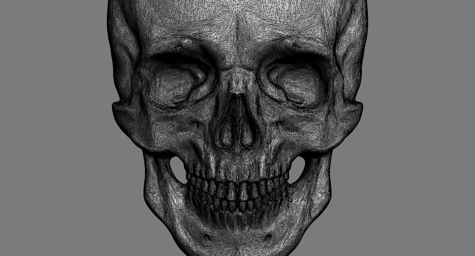 human skull relief 3d model