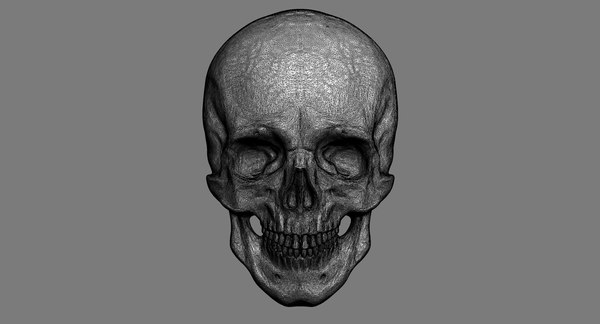human skull relief 3d model