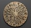rotten wood wall art 3d max