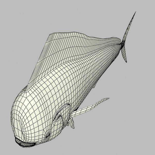 ocean fish dolphinfish 3d max