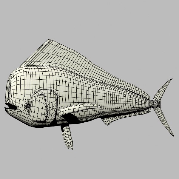 ocean fish dolphinfish 3d max