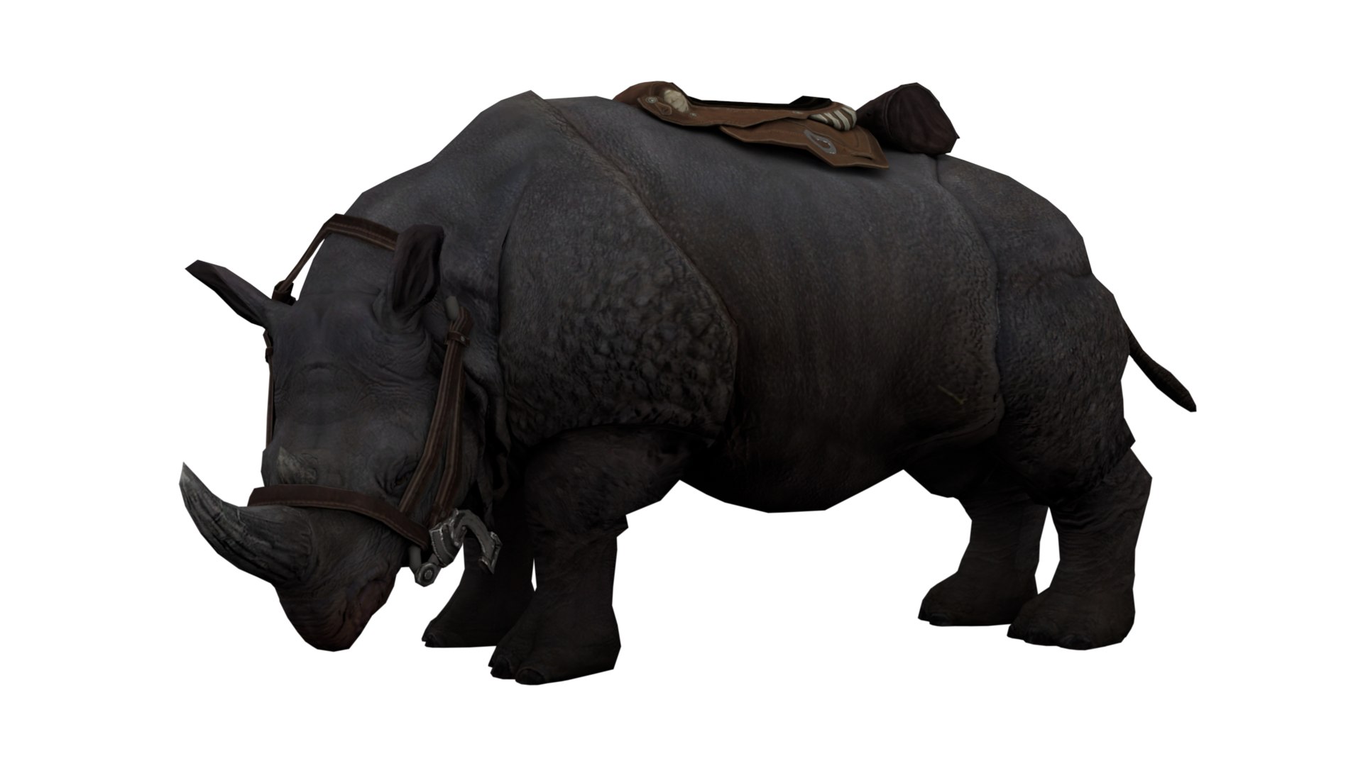 3D Rhino Animated Model - TurboSquid 2186714