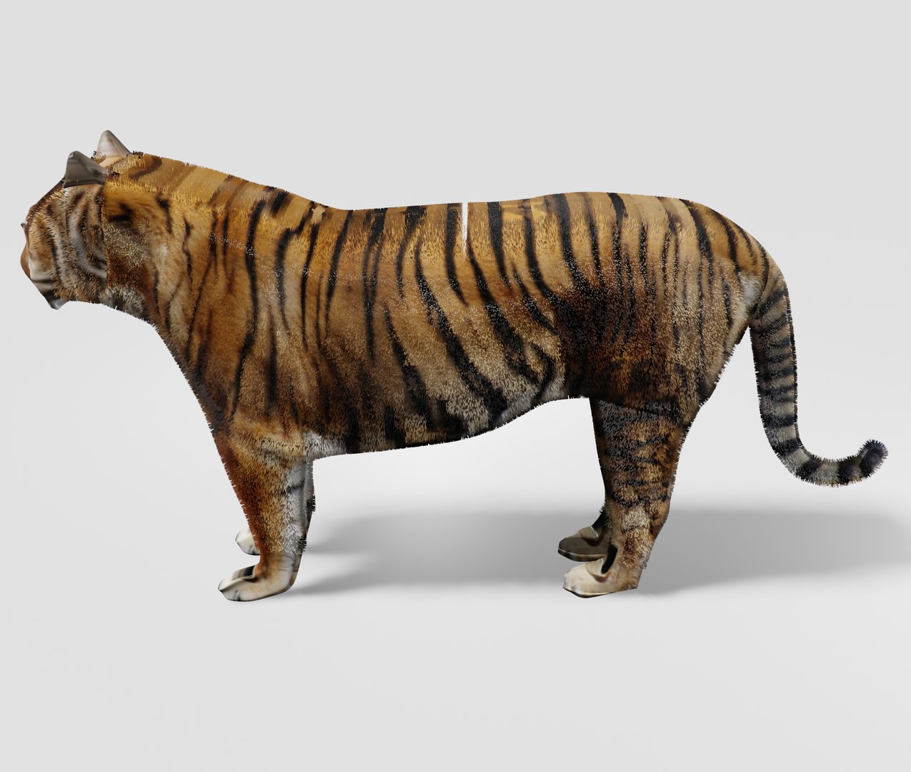 Tiger Blender OBJ 3D Model - TurboSquid 1971018