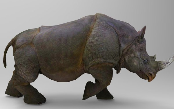 3D модель Rhino 10 Animations - TurboSquid 1894643