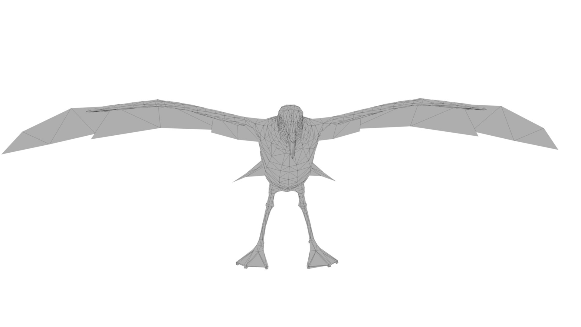 3D Seagull Model - TurboSquid 2246333