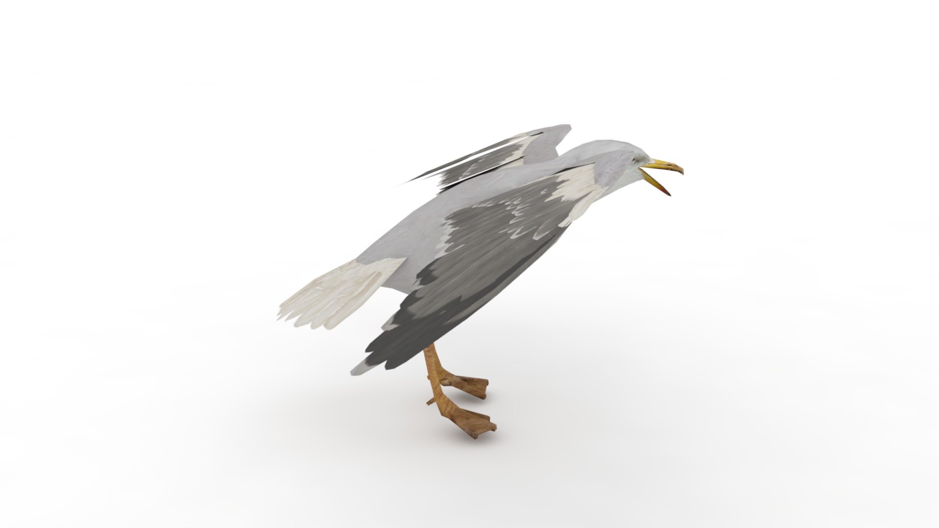 3D Seagull Model - TurboSquid 2246333