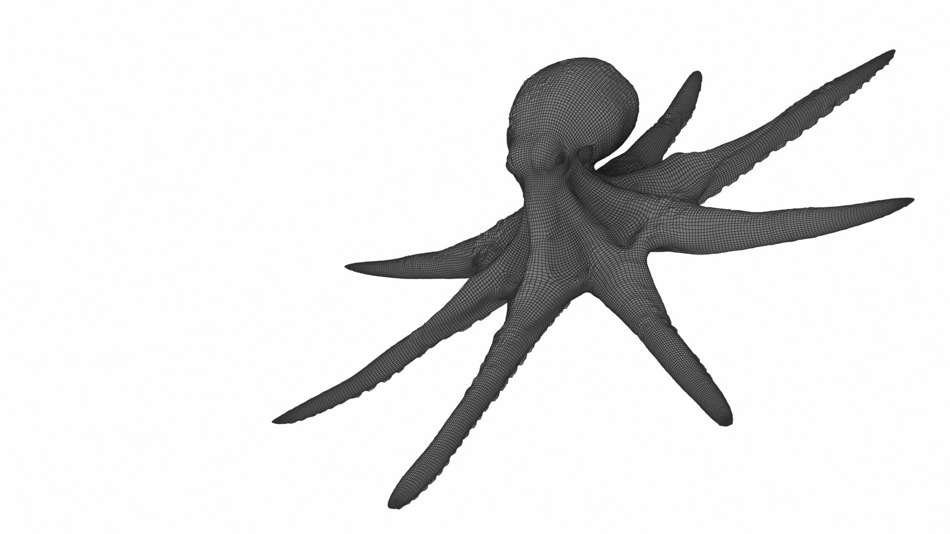 Realistic octopus model - TurboSquid 1483816