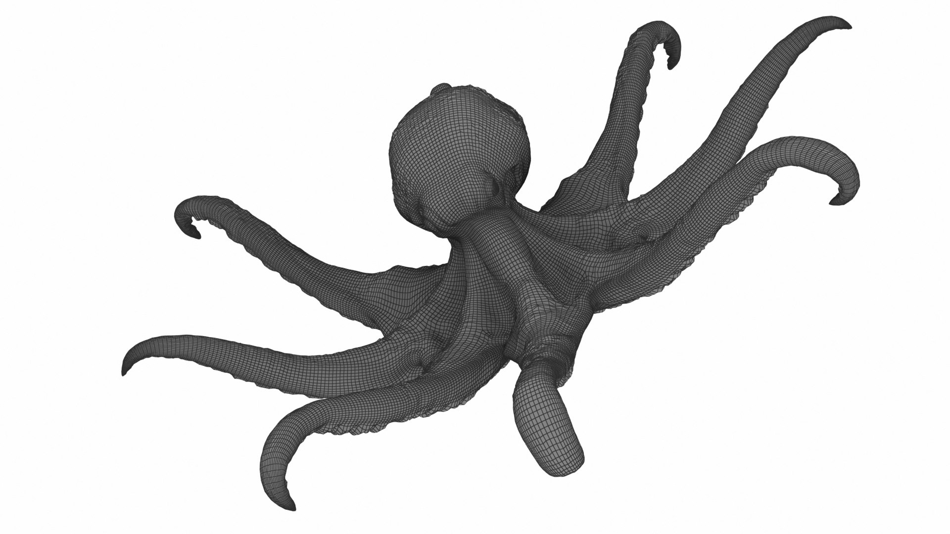 Realistic octopus model - TurboSquid 1483816