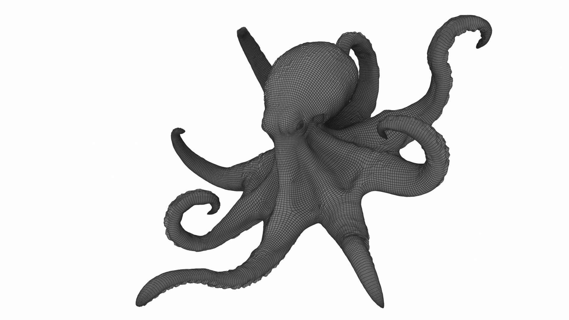 Realistic Octopus Model - TurboSquid 1483816