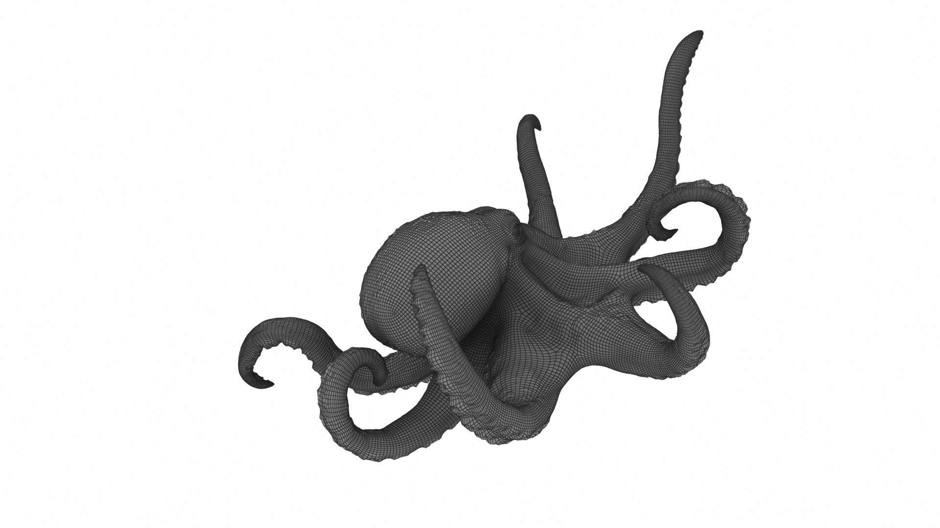 Realistic Octopus Model - TurboSquid 1483816