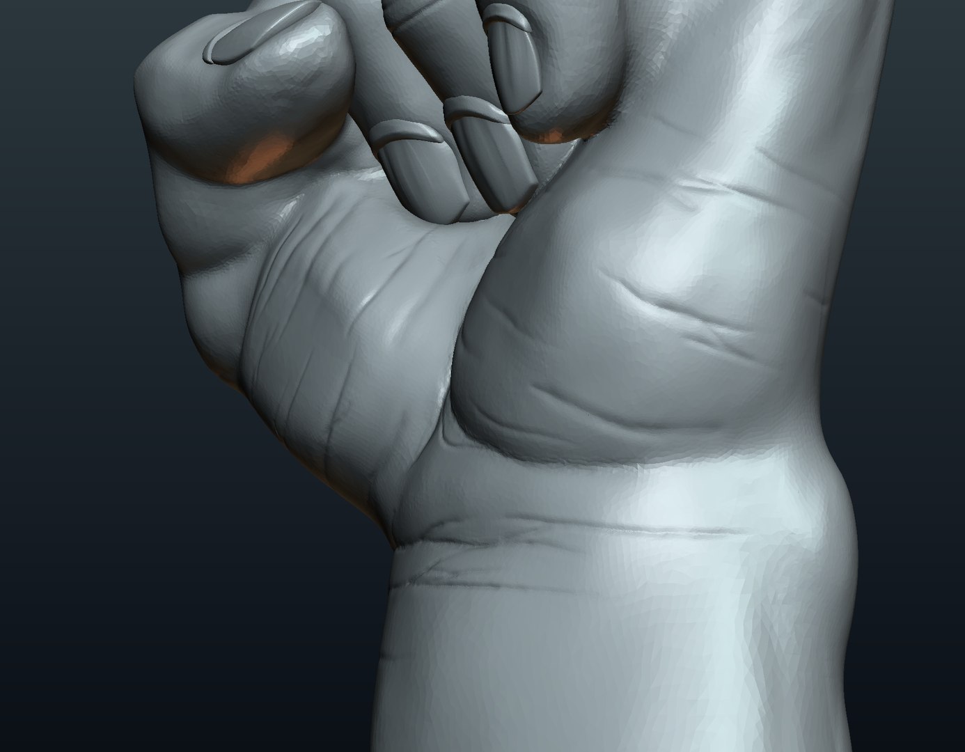 Hand Arm Anatomy Model - TurboSquid 1402892