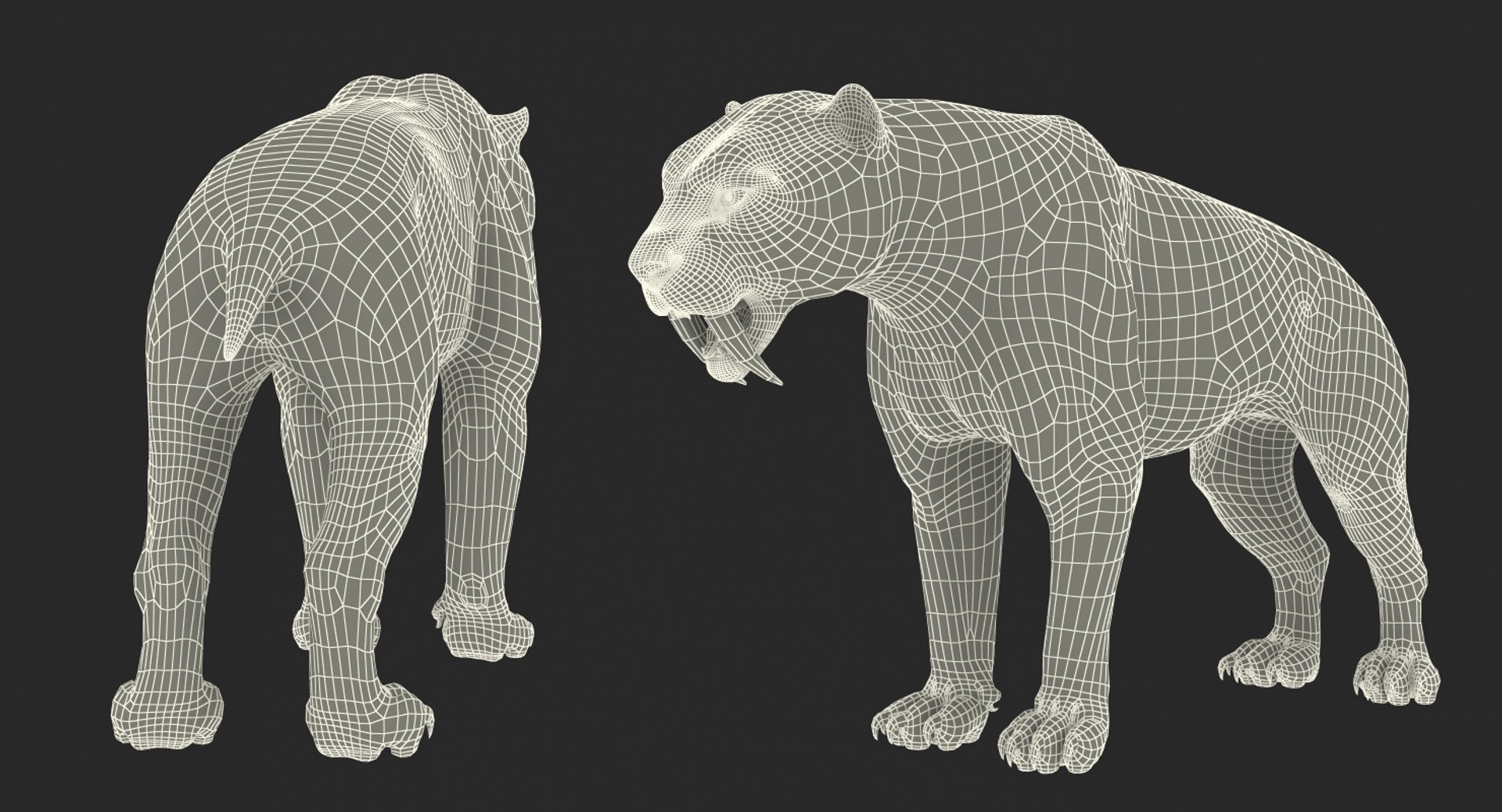 Saber tooth tiger rigged 3D model - TurboSquid 1329676
