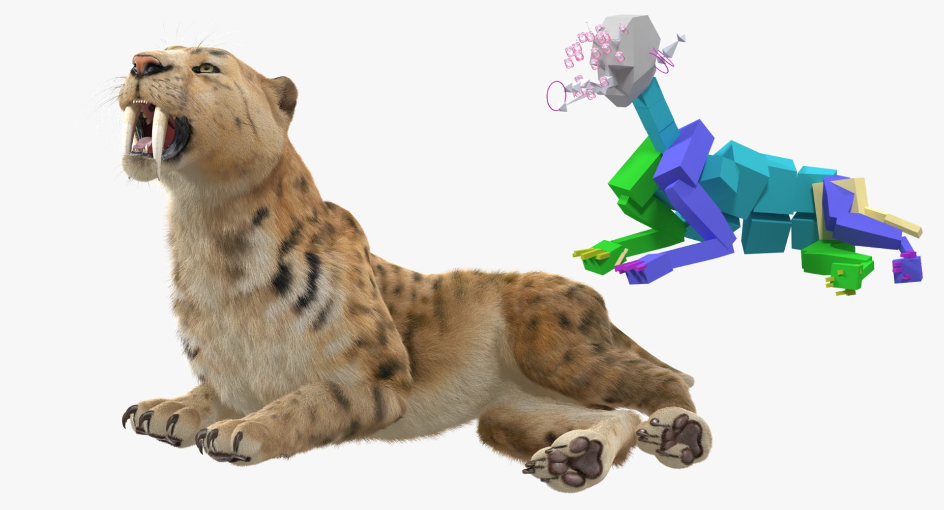 Saber tooth tiger rigged 3D model - TurboSquid 1329676