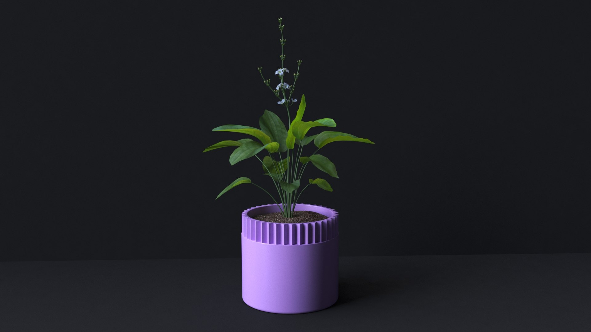 Botanical Bliss - Printable Set Of 6 Exquisite Flower Pots Print 3D ...