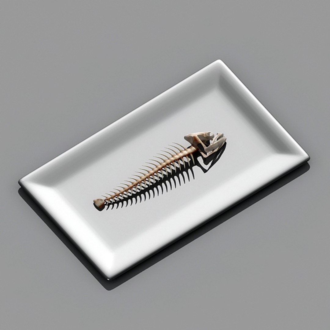 3d Cutted Fish Model