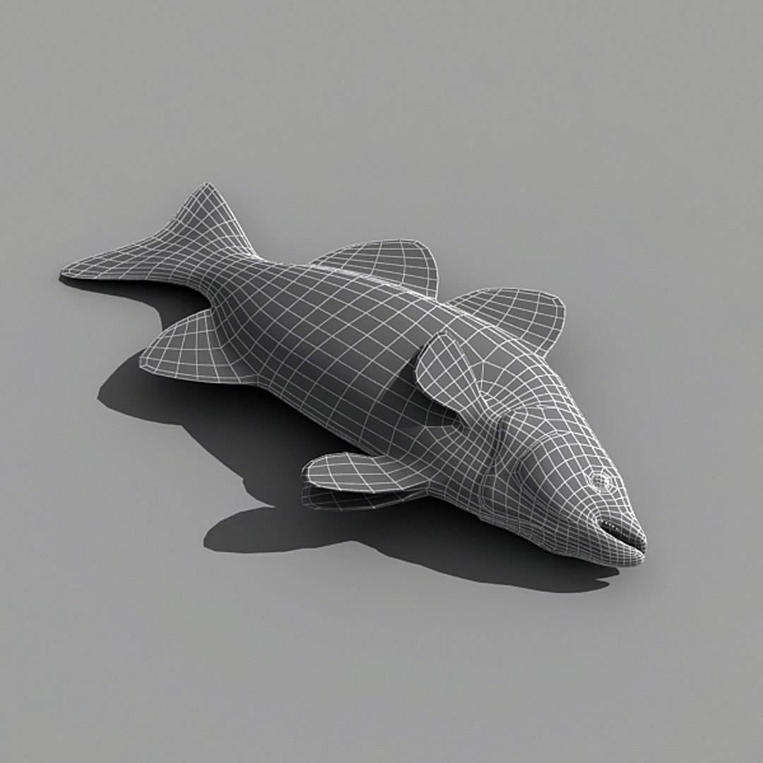 3d Cutted Fish Model