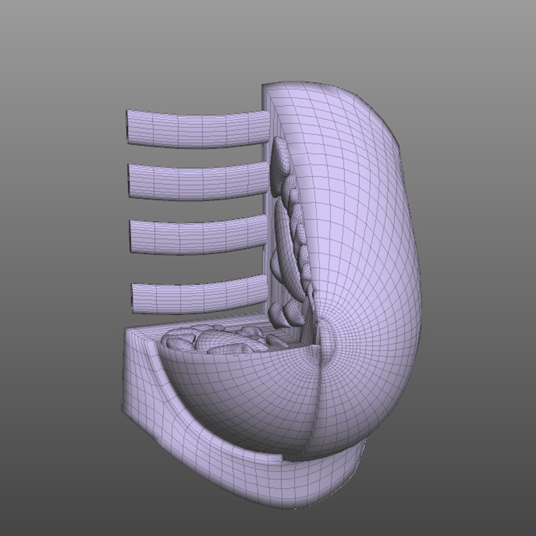 3D Female Breast Model - TurboSquid 1521148