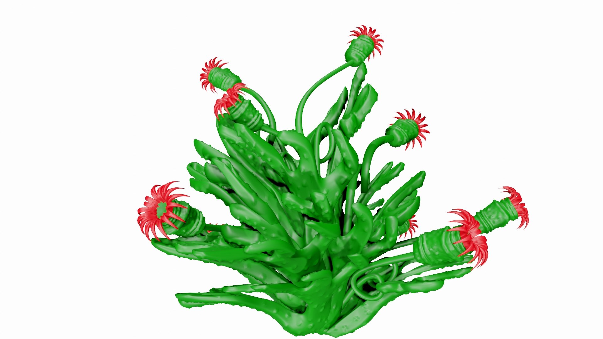 Flower Green Coral Reef with Red Flowers 3D model - TurboSquid 1820875
